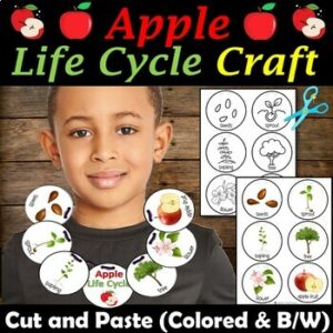 Life Cycle of an Apple Tree Craft Bundle, Apple Lifecycle Crown Hat ...