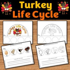 Life Cycle of a Turkey Craft Bundle, Lifecycle Crown Hat, Necklace ...